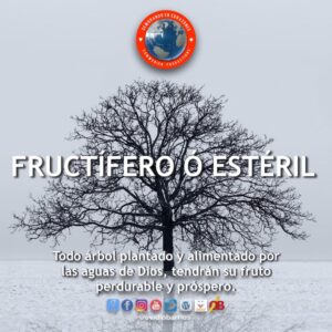 El significado de ser un cristiano fructífero según la Biblia
