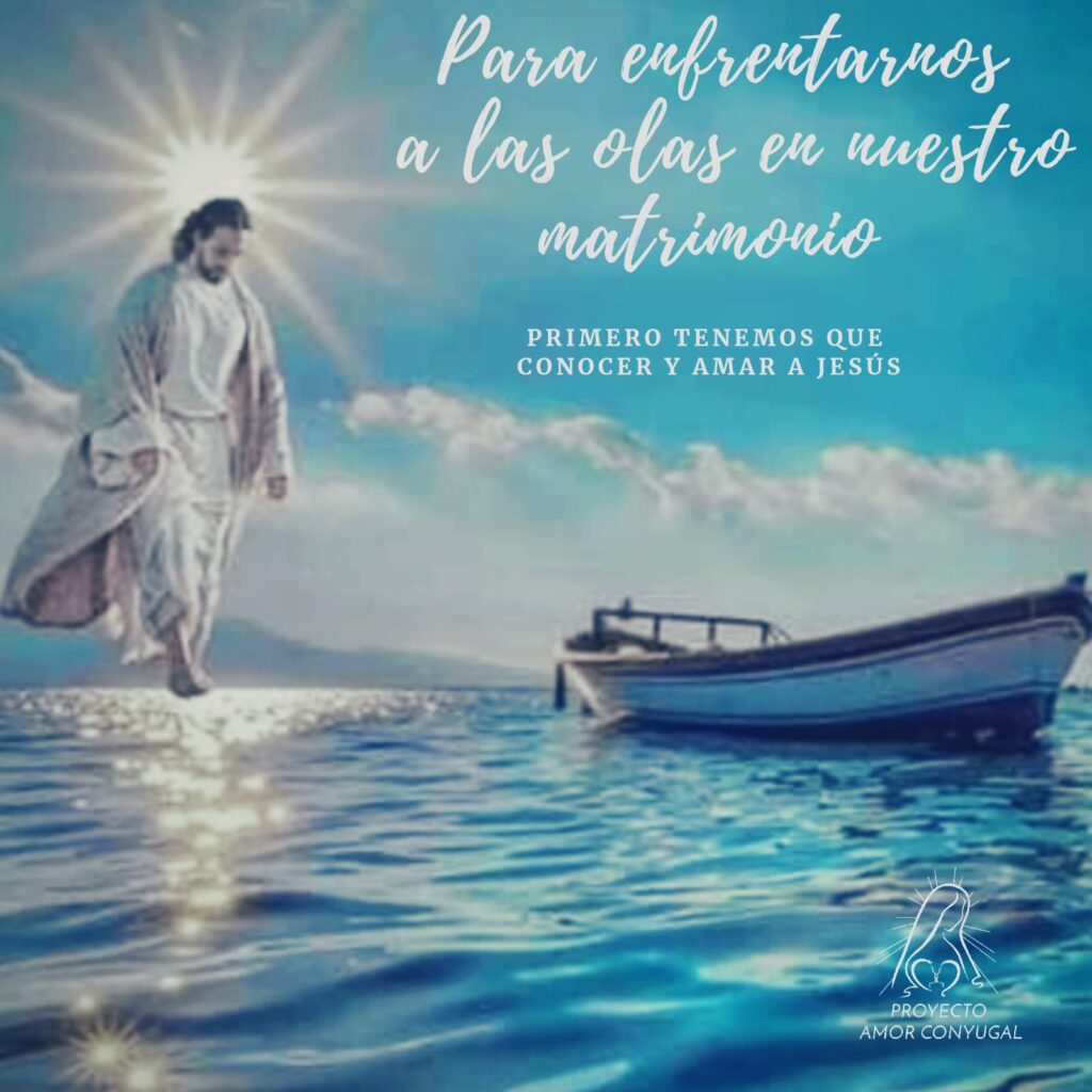 La declaración de los discípulos (Mateo 14:33)