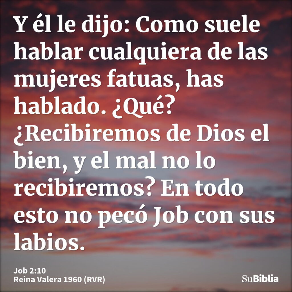 ¿Pecó Job en algo de lo que dijo?