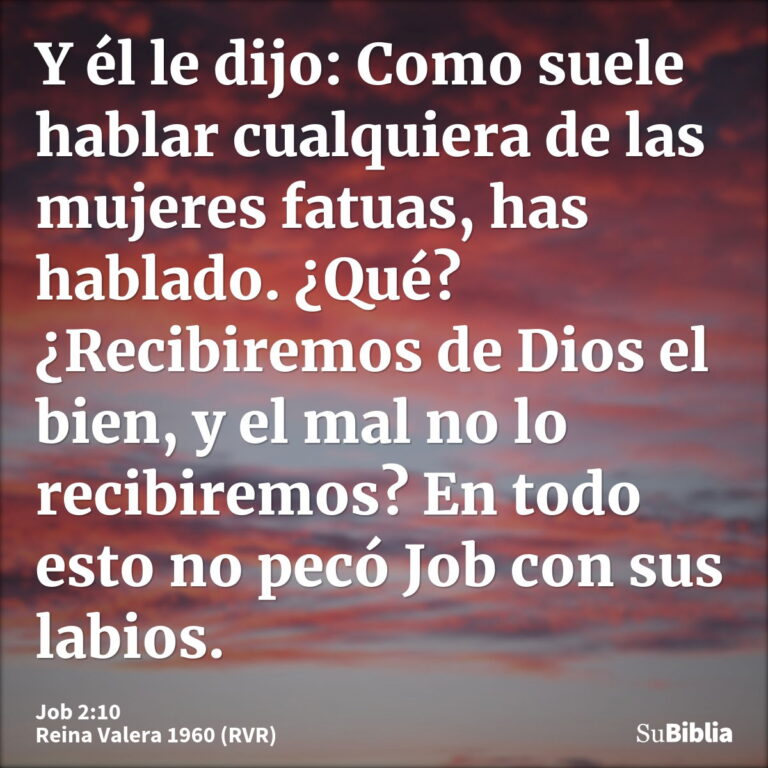 ¿Pecó Job en algo de lo que dijo?